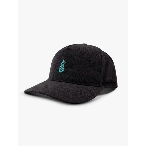 chubbies | Accessories | Nwt Chubbies The Teal Pineapple Performance Hat Os Dark Gray Heather ...